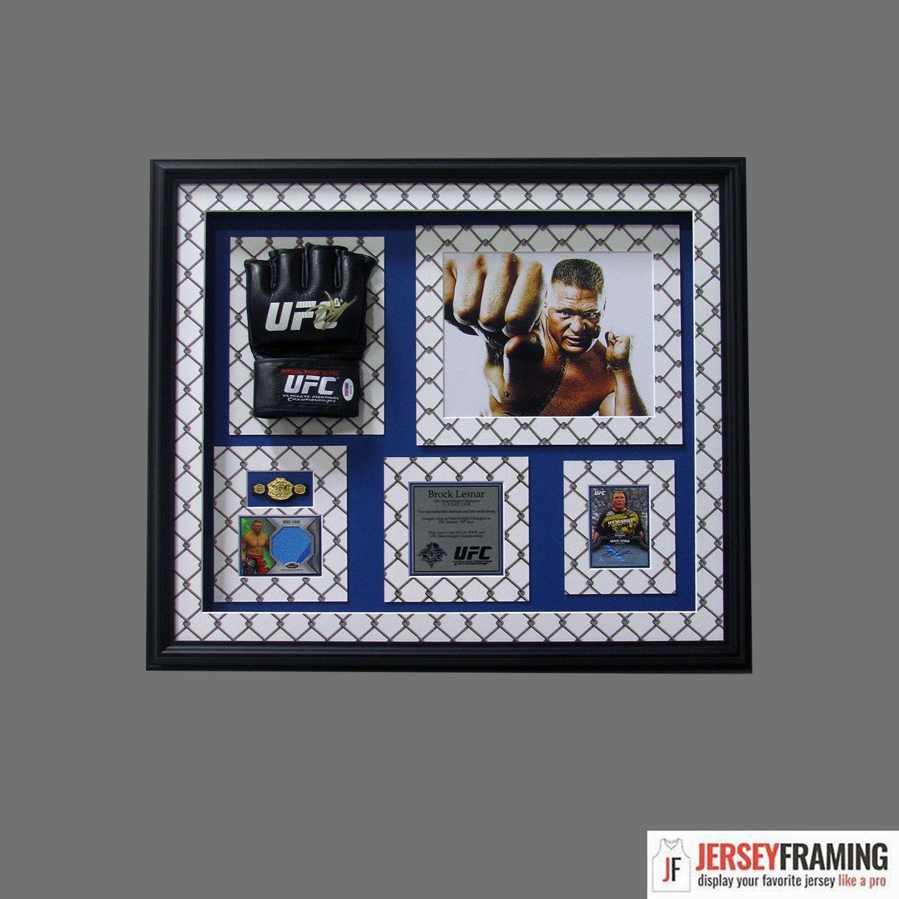 Other Sports Memorabilia Framing: Unique Displays